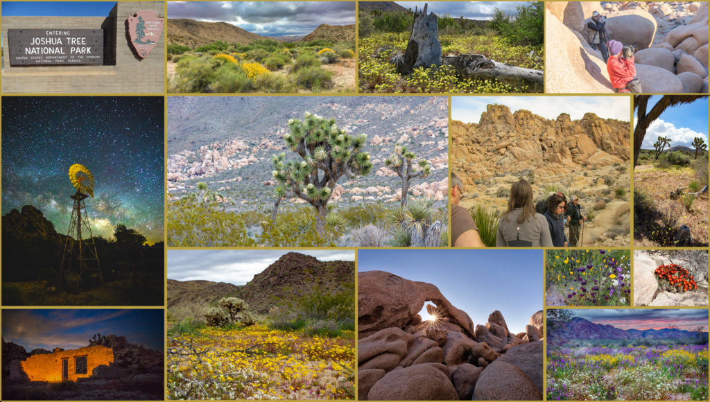 Stubbe Springs, Joshua Tree - CANCELED - CVHC