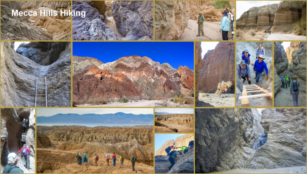 COFFEE BEAN CANYON WALKABOUT - CVHC