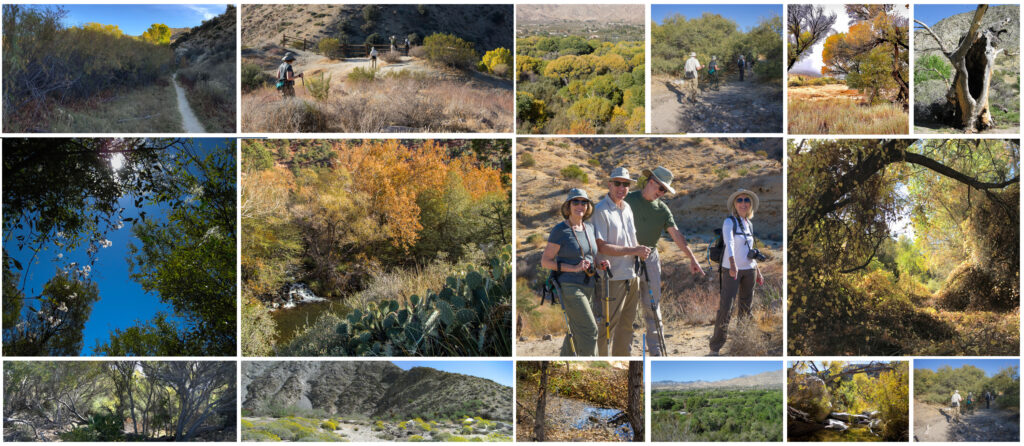BIG MORONGO MEANDER HIKE IS FULL AS OF 11/13 - CVHC