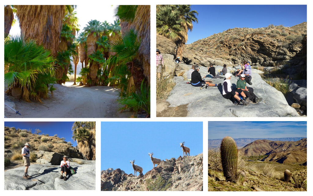 STONE POOLS - INDIAN CANYONS - CVHC