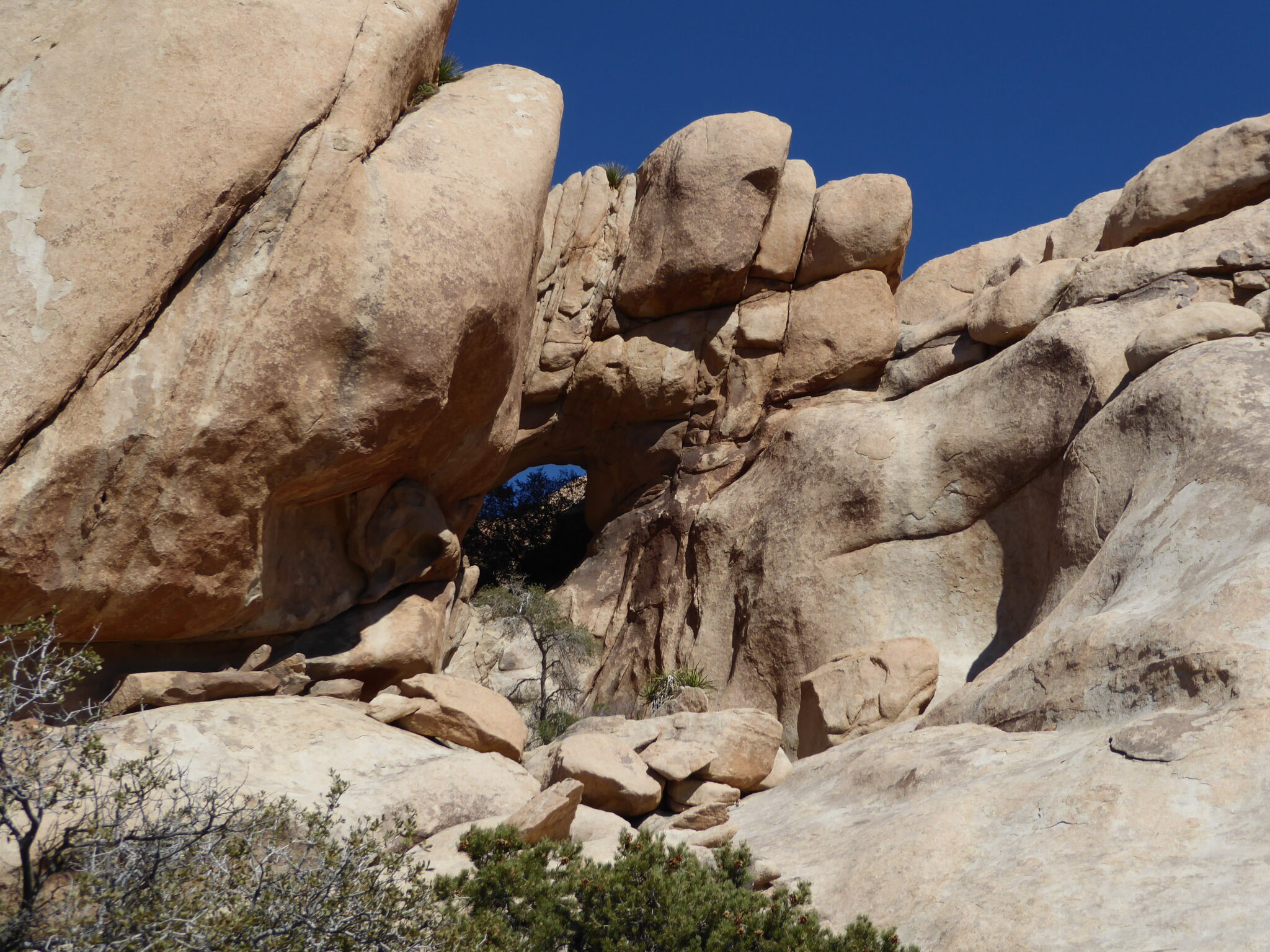 GARRETT'S ARCH LOOP - CVHC